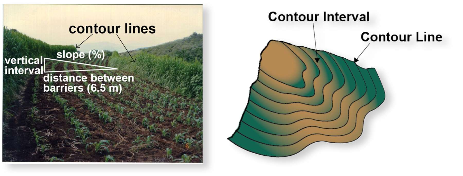 Contour Cultivation and Live Barriers for Small-Scale Farmers | ECHOcommunity.org